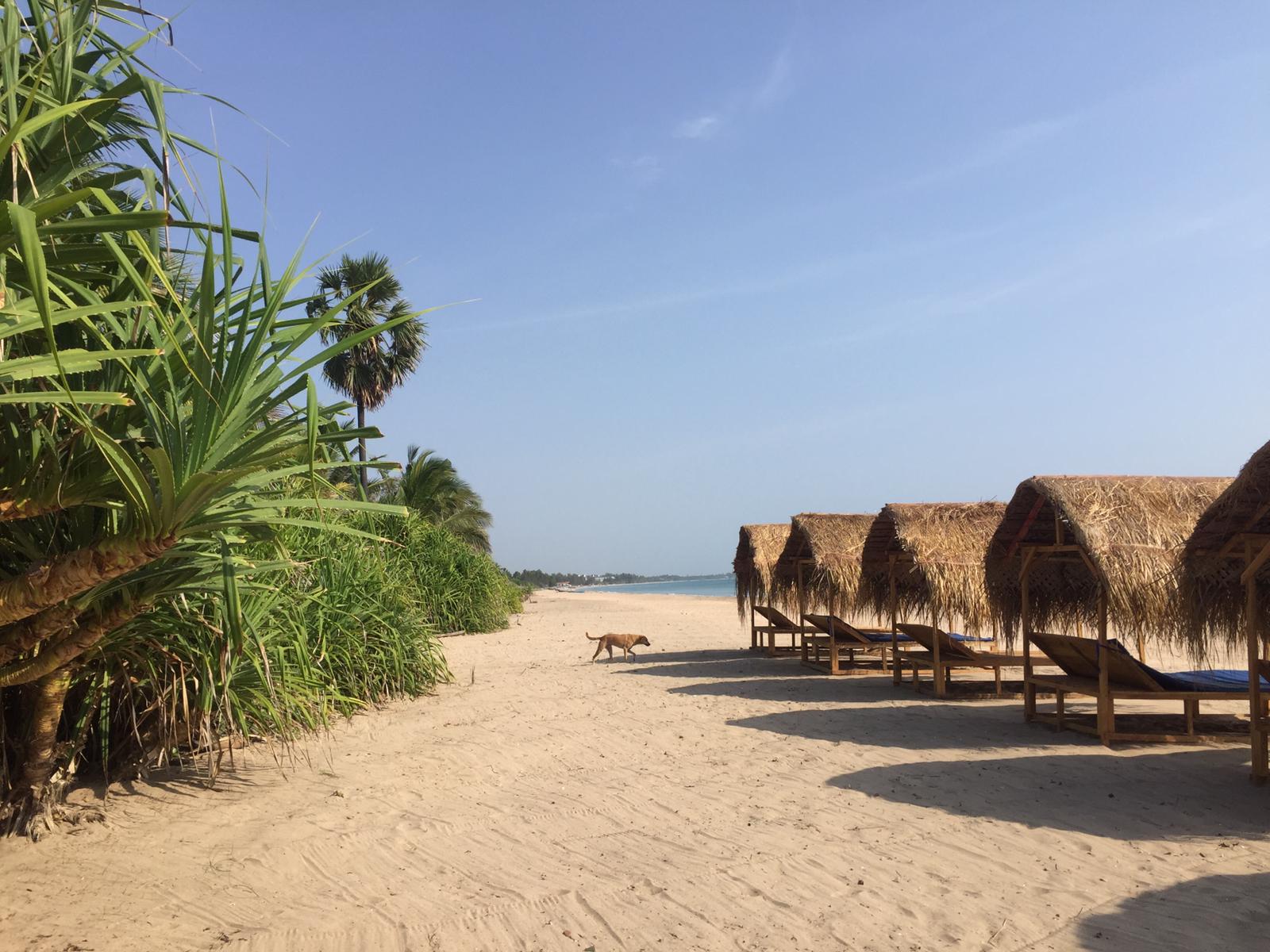 Het werd Sri Lanka (deel 12) – Philibert Schogt